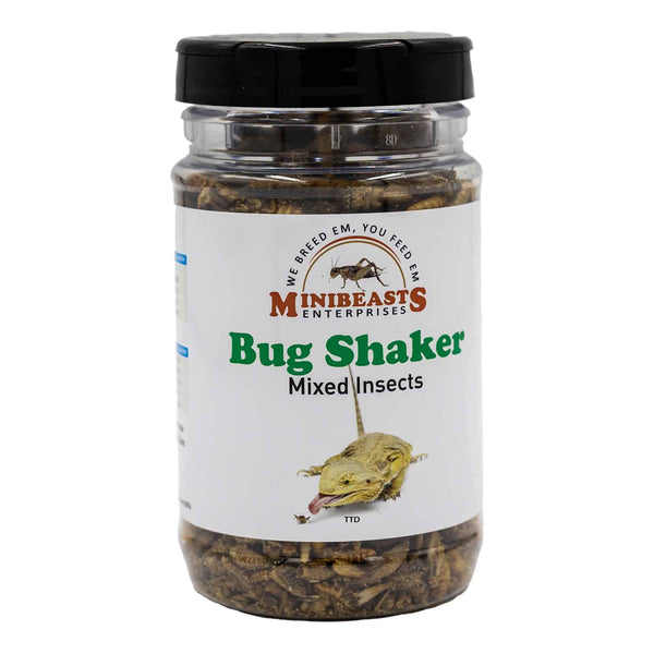 Minibeasts - Bug Shaker- Mixed Insects - The Tech Den