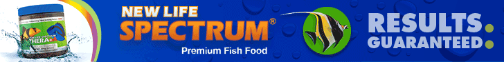 New Life Spectrum Premium Fish Food & Formulas - The Tech Den