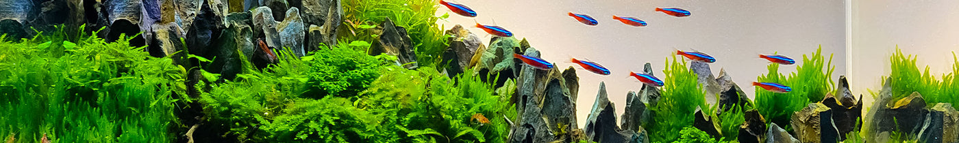 Aquarium Wave Makers & Circulation Pumps for Reef Tanks - The Tech Den