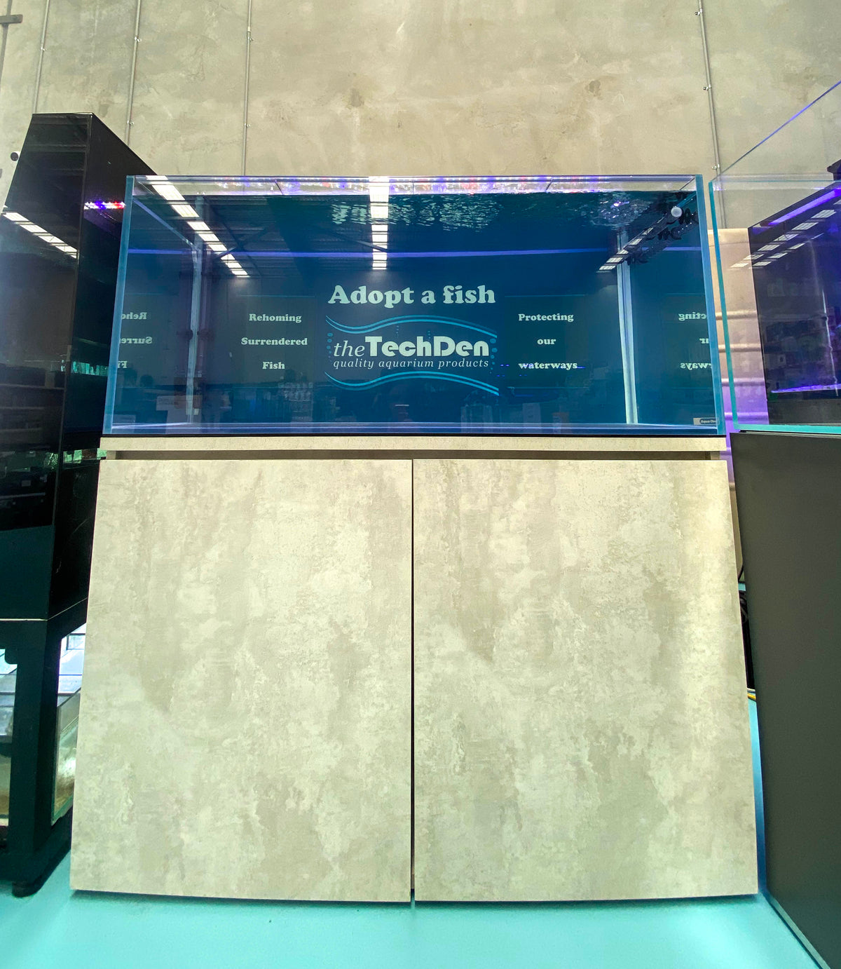 About Us - The Tech Den