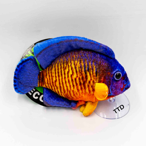 GreenPleco 'Coral Beauty' 14cm Plushie with Suction Cup - The Tech Den