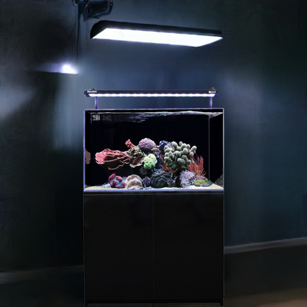 Aqua One Mini Reef 160 Marine Set 160l Black, 90 x 45 x 45cm - In-Stor ...