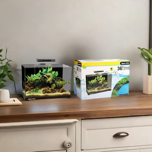 Aqua One Focus 36 Black Aquarium with Light and Filter - The Tech Den