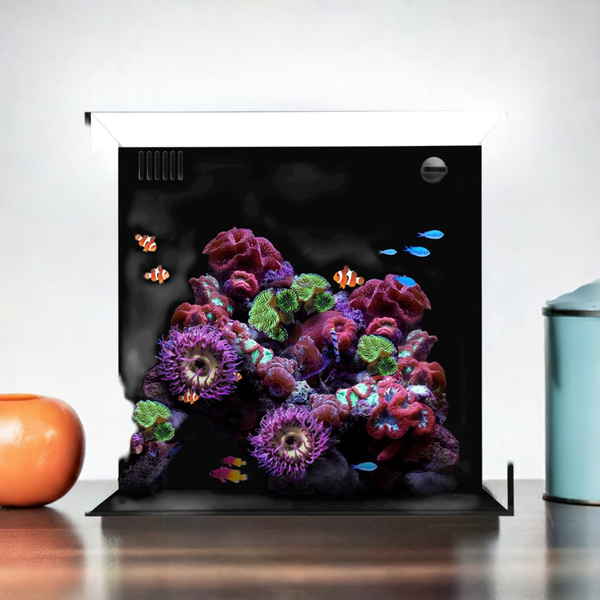 Waterbox AIO Cube 20 Aquarium - 76 Litres 40 x 45 x 40cm In - store Pi ...