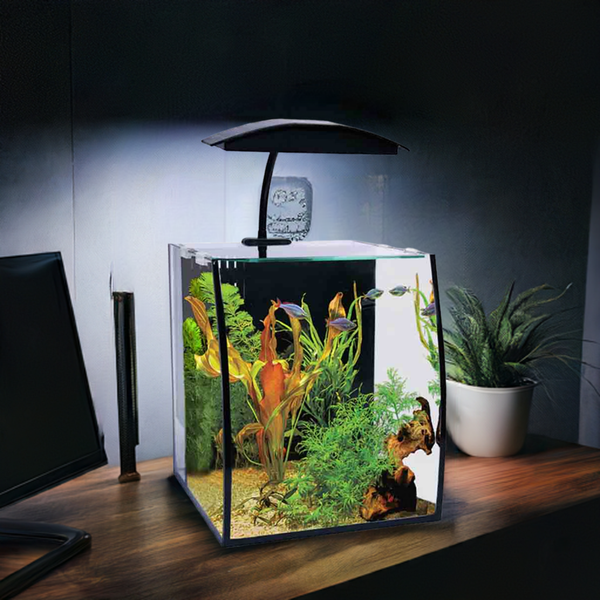 Aqua One Arc 16 Glass Aquarium 16Litres - 25L X 28D X 30cm H - The Tech Den