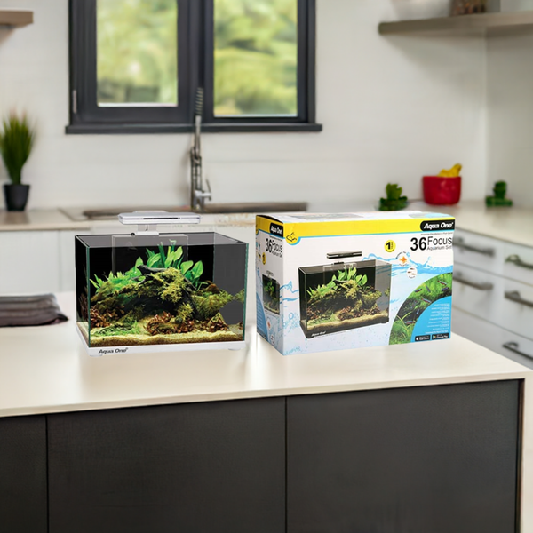 Aqua One Focus 36 White Aquarium with Light and Filter - The Tech Den