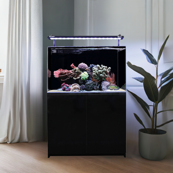 Aqua One Mini Reef 160 Marine Set 160l Black - The Tech Den