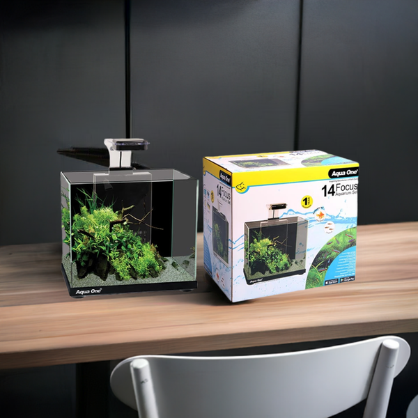 Aqua One Focus 14 Black Aquarium with Light and Filter - The Tech Den