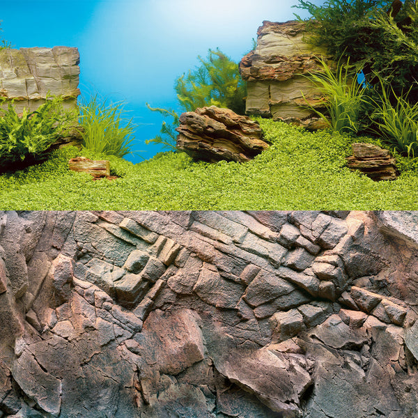 Juwel Background Poster Plant/Reef Scene - 100 x 50cm (Poster 1) - The ...