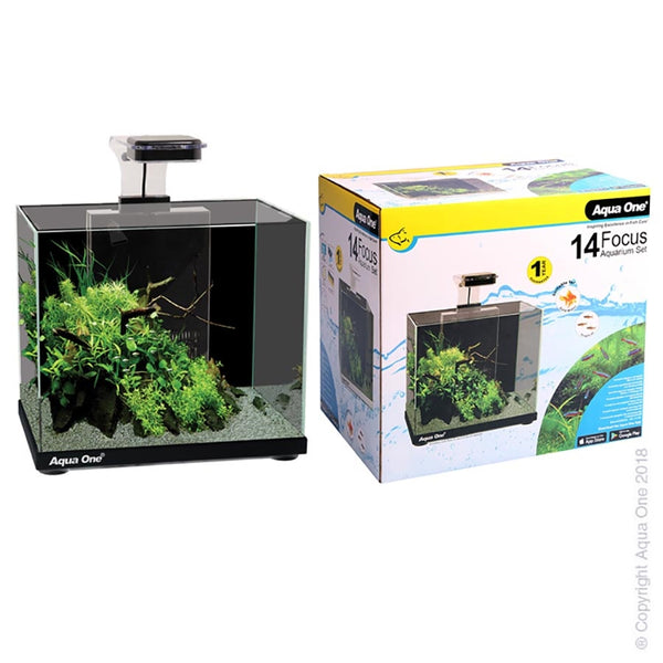 Aqua One Focus 14 Black Aquarium with Light and Filter - The Tech Den