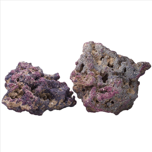 Specials Page 2 - The Tech Den