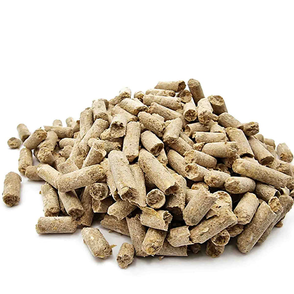 SAS Shrimp Bottom Feeder Food 50g - The Tech Den