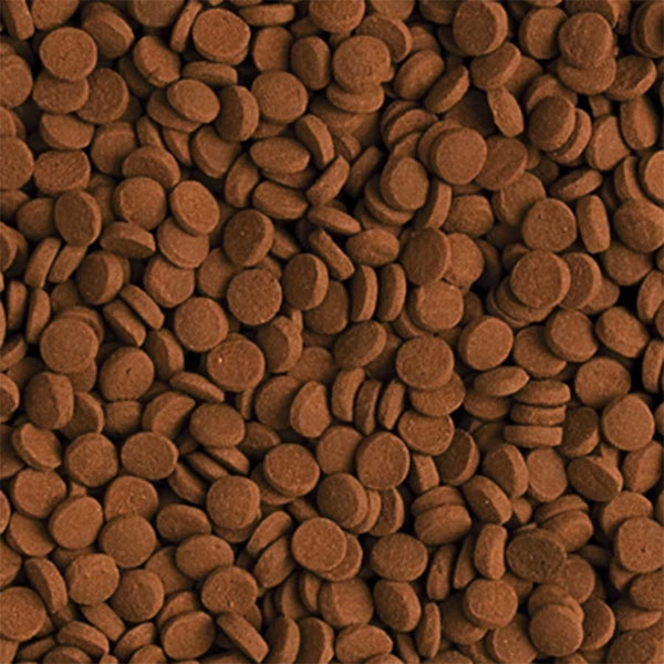Tropical Carnivore Tablets 5mm Tablet 500ml 300g Pellet Fish Food - The ...